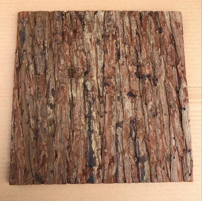 300*300mm Standard Size Frist-Layer Fir Bark tiles with Cork Back for ...