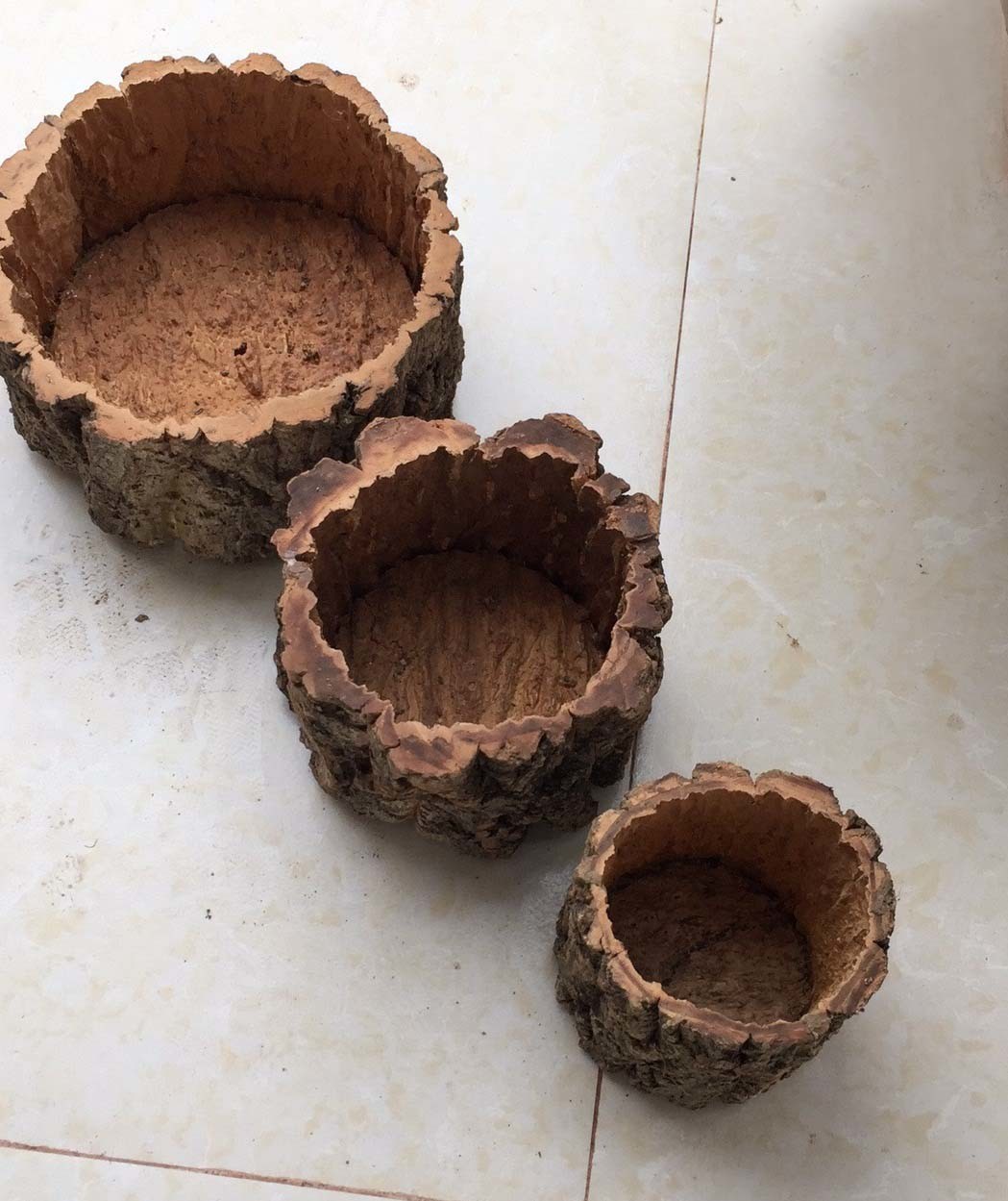 Environmental Round Cork Bark Planter for Indoor or Outdoor Gardening